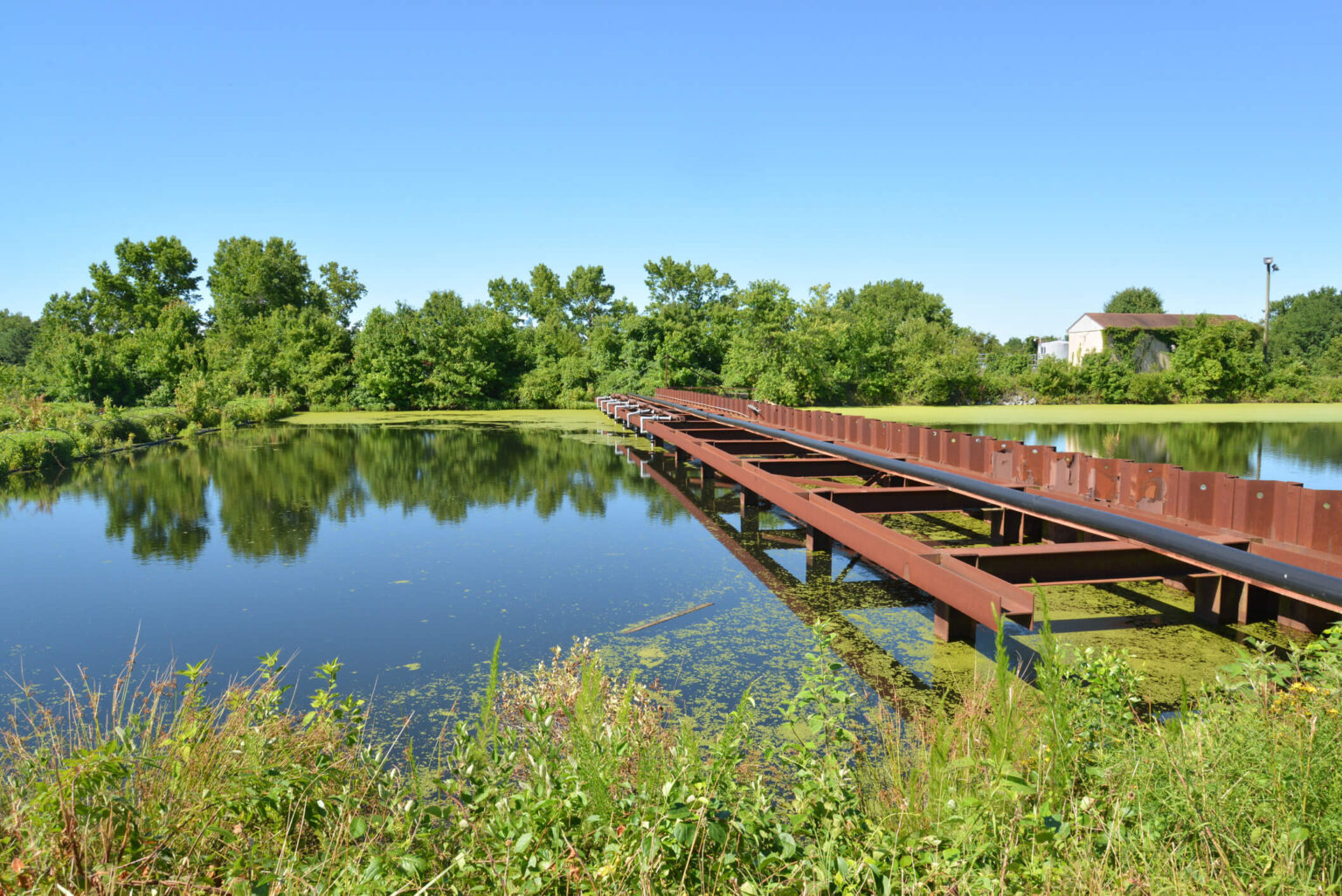 Bacteria Wastewater Treatment | Bacteria Direct | High-Quality Bacteria