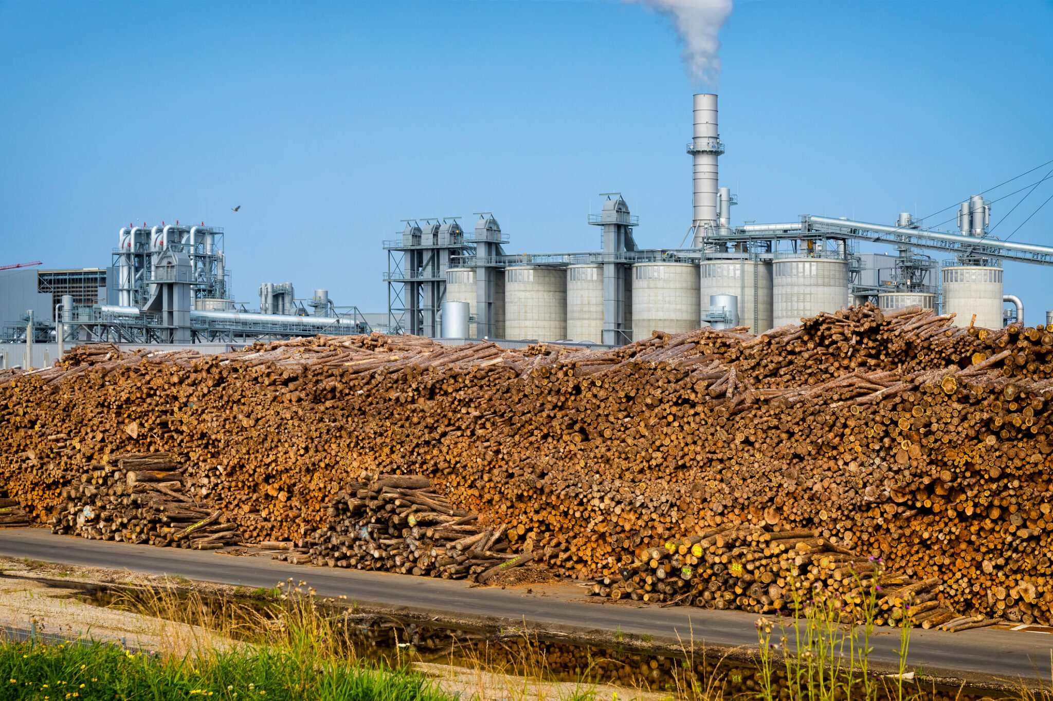 Wastewater Treatment Solutions | Bacteria Direct | High-Quality Bacteria